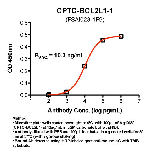 BCL2-like 1 Antibody (CPTC-BCL2L1-1) - DSHB