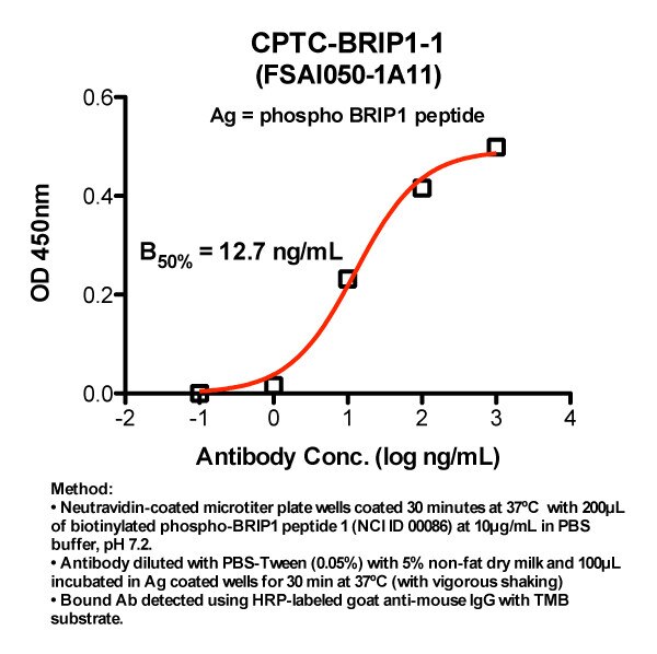 BRIP Antibody (CPTC-BRIP1-1) - DSHB