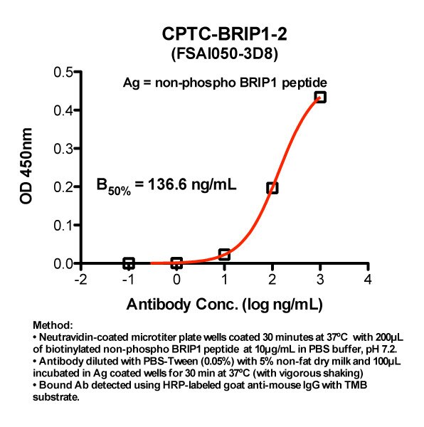BRIP Antibody (CPTC-BRIP1-2) - DSHB