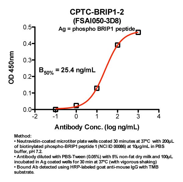 BRIP Antibody (CPTC-BRIP1-2) - DSHB