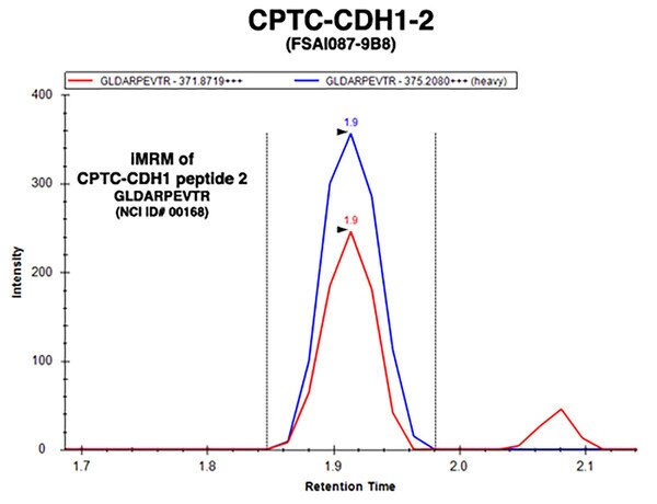 CDH1 Antibody (CPTC-CDH1-2) - DSHB