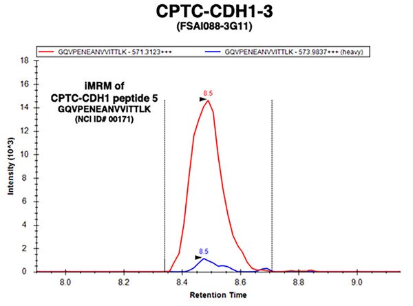 CDH1 Antibody (CPTC-CDH1-3) - DSHB