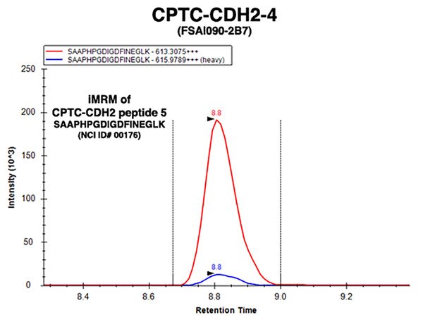 CDH2 Antibody (CPTC-CDH2-4) - DSHB