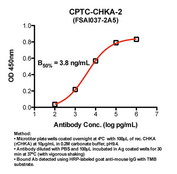 Choline kinase alpha Antibody (CPTC-CHKA-2) - DSHB