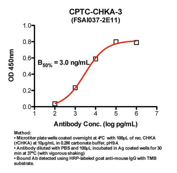 Choline kinase alpha Antibody (CPTC-CHKA-3) - DSHB