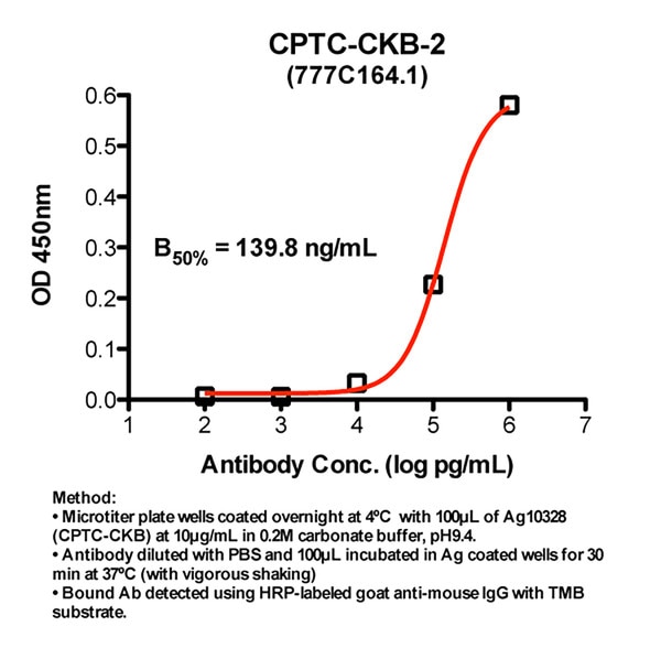 Creatine kinase B chain Antibody (CPTC-CKB-2) - DSHB