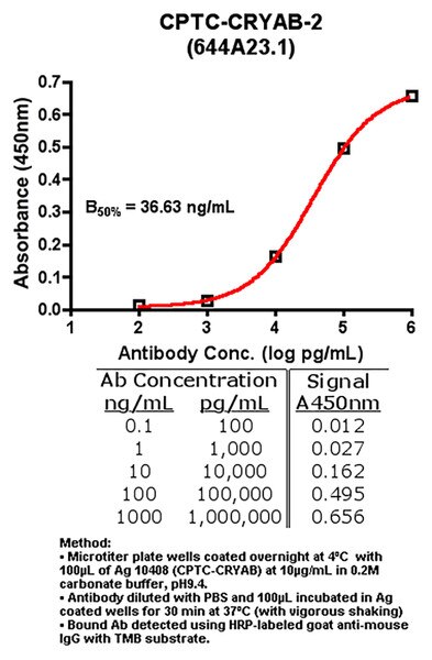 CRYAB -crystallin alpha B Antibody (CPTC-CRYAB-2) - DSHB