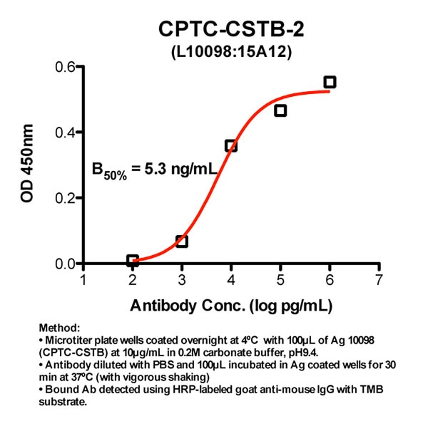Cystatin B Antibody (CPTC-CSTB-2) - DSHB