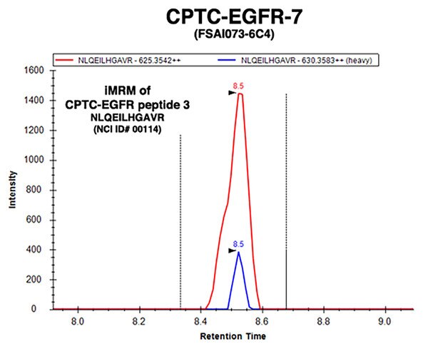 EGFR Antibody (CPTC-EGFR-7) - DSHB