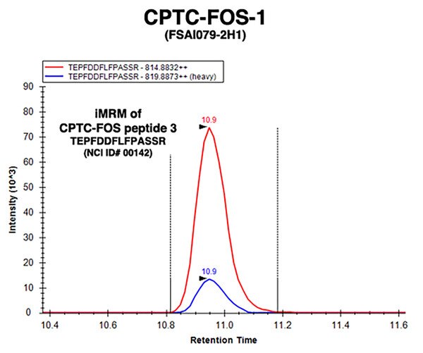 FOS Antibody (CPTC-FOS-1) - DSHB