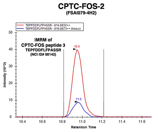 FOS Antibody (CPTC-FOS-2) - DSHB