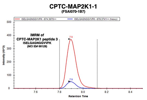 MEK1 Antibody (CPTC-MAP2K1-1) - DSHB