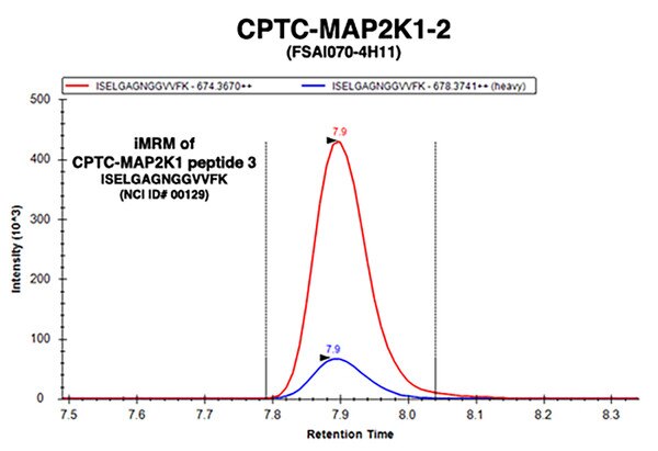 MEK1 Antibody (CPTC-MAP2K1-2) - DSHB